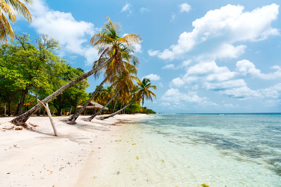 The Best Winter Charter Destinations for 2026
