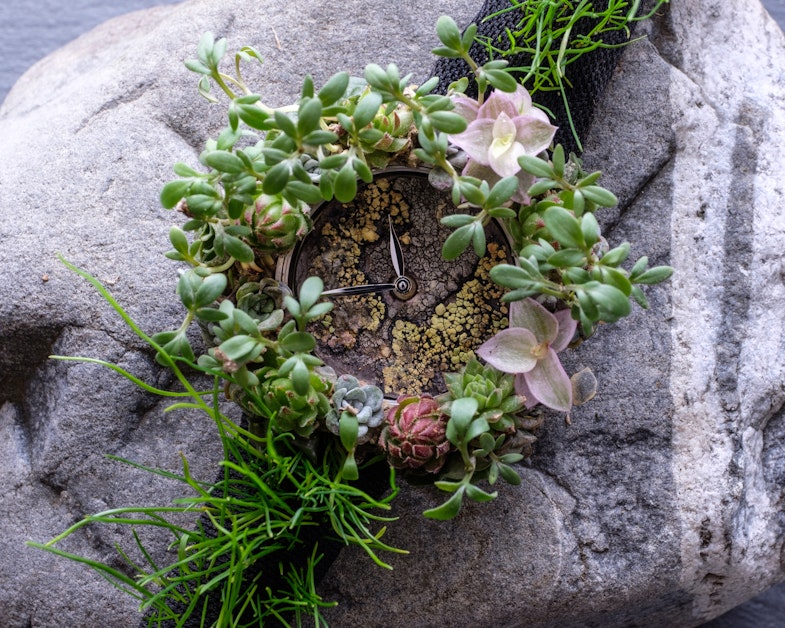 Luxury Watches - Summer 2021